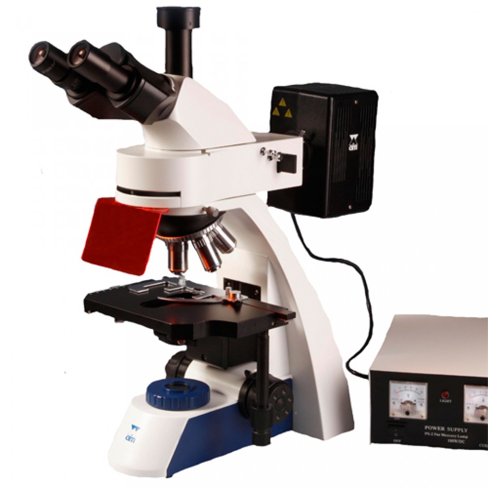 Microscópio Biológico Magnum T Epi Fluorescência - Labosistema