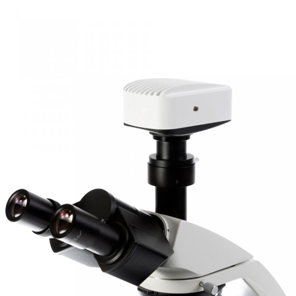 Câmara digital Infinity e Software para microscopia - Labosistema